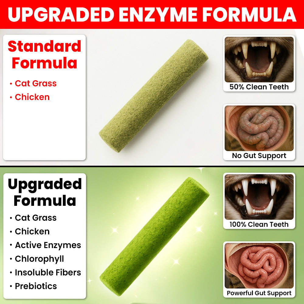 Upgrade To Premium Enzyme Formula [All Packs] – Meowlys